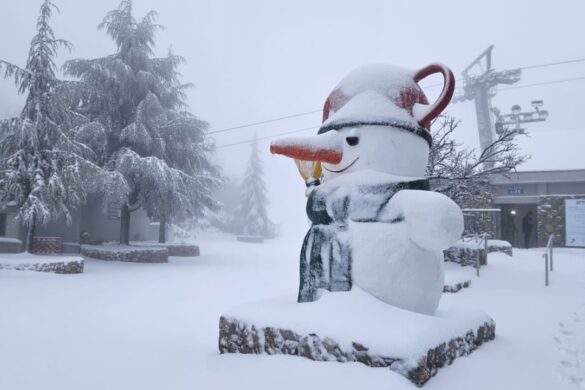 Israel: El Foro de Familias de Rehenes pide a Netanyahu no avanzar con ...